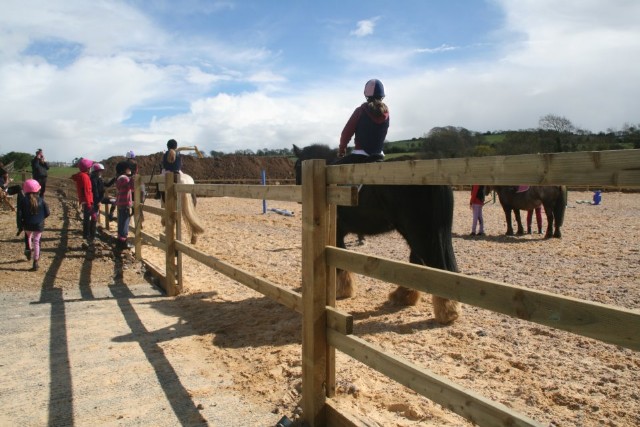 The Railings Riding School Ardee - Our.ie