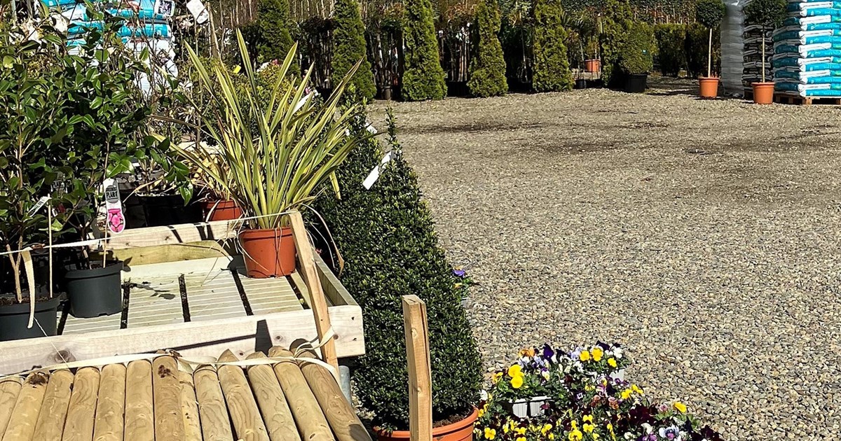 Arthur's Nurseries - Our.ie