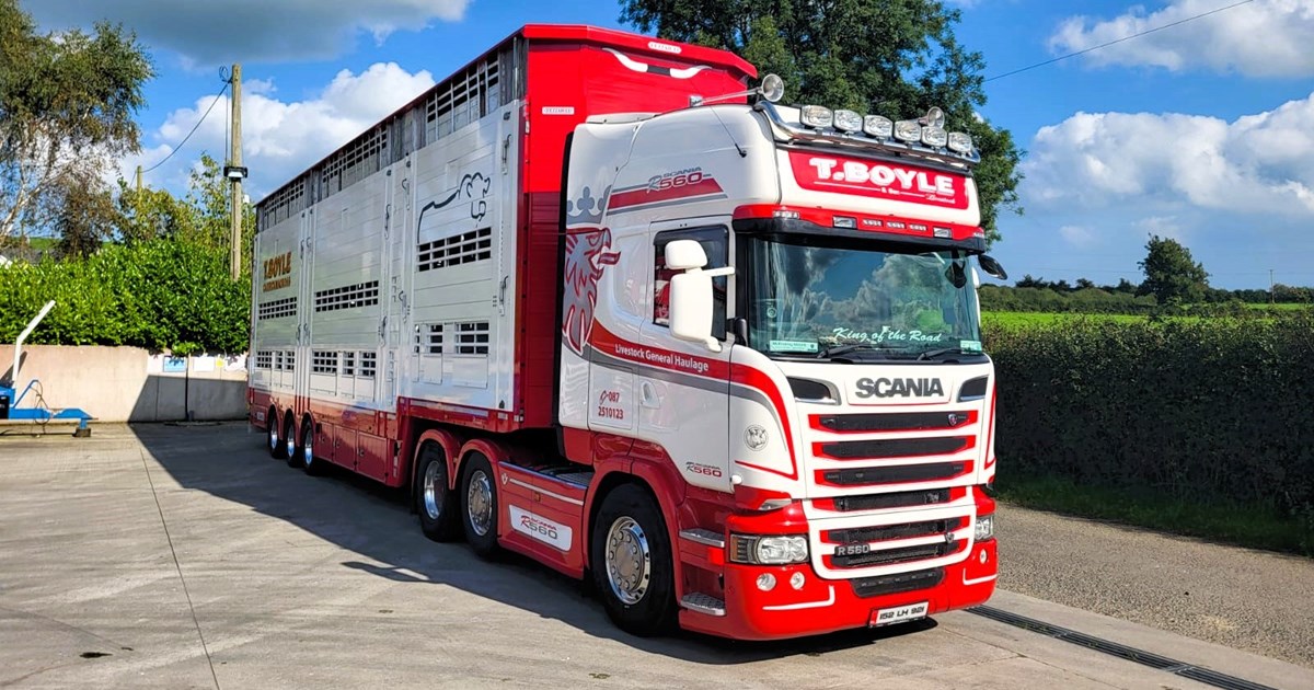 Livestock Transport Monaghan - Our.ie