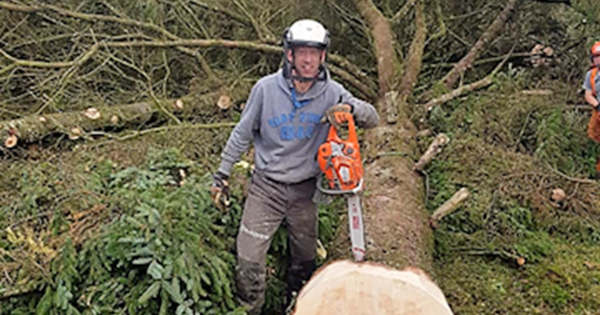 Tree Surgeon Longford - Our.ie