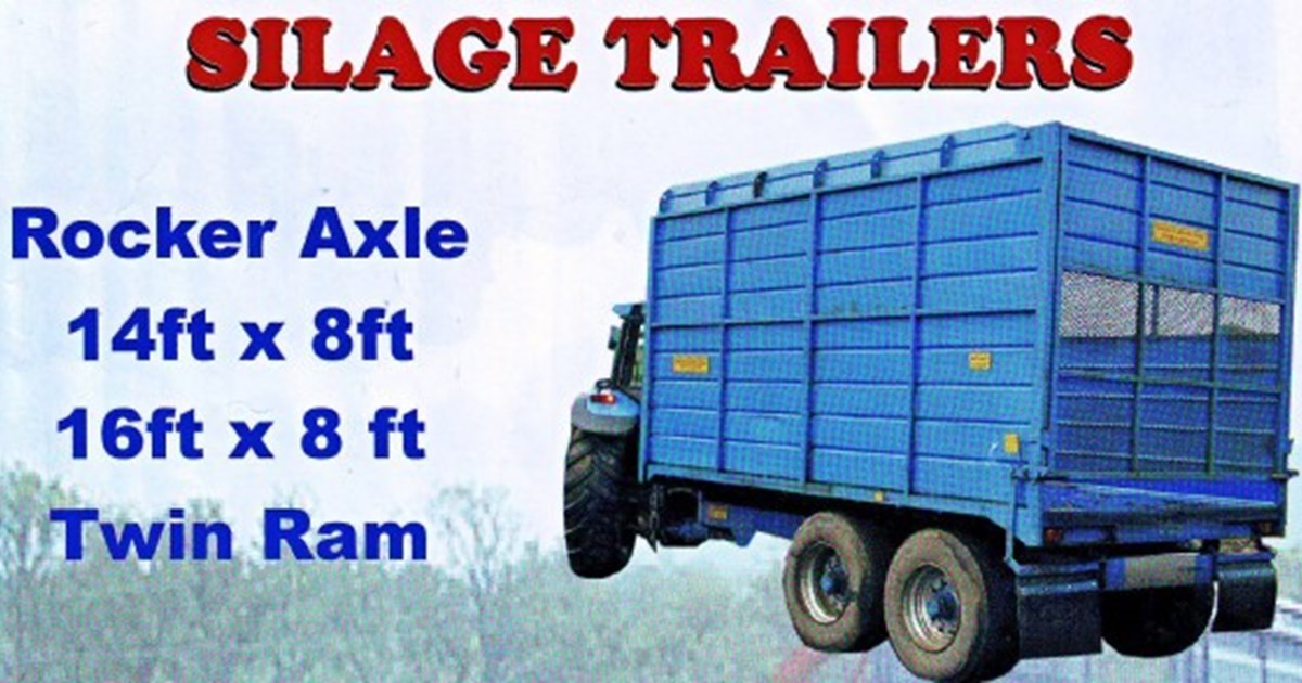 ULTAN CARROLL - Our.ie